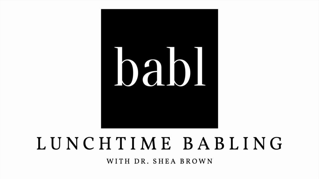 AI Risk Management Standards - BABL AI